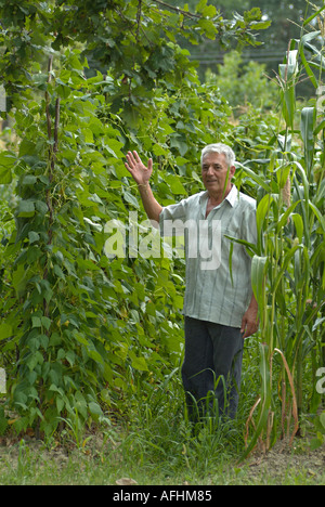 Organic vegetable garden Stock Photo - Alamy