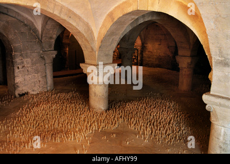 ART INSTALLATION IN THE CRYPT OF GLOUCESTER CATHEDRAL TITLED THE WORDS ...
