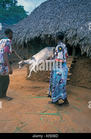 AFRICA KENYA Digo Community Kenyan village with adobe houses and ...