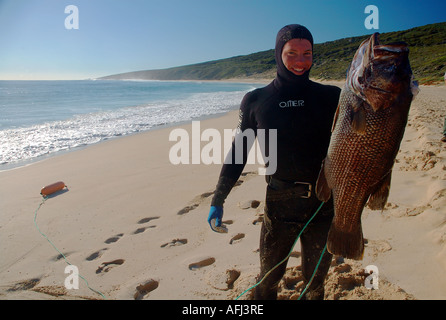 Western Australian jewfish or dhufish Glaucosoma hebraicum Stock Photo ...