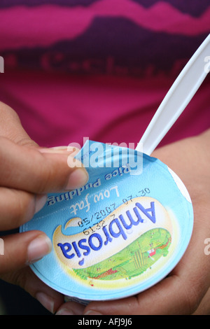 Ambrosia Low Fat Cream Rice Stock Photo - Alamy