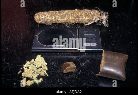 Thai stick marijuana flower or heads of skunk Stock Photo - Alamy