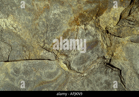 Concretion in Antrim Shale, Northern Michigan Basin Stock Photo - Alamy