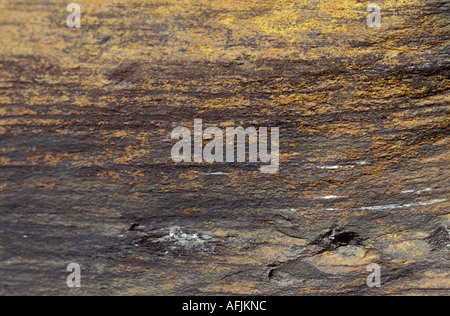 Antrim Shale cross section, Northern Michigan Basin Stock Photo - Alamy