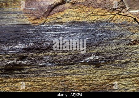Antrim Shale cross section, Northern Michigan Basin Stock Photo - Alamy