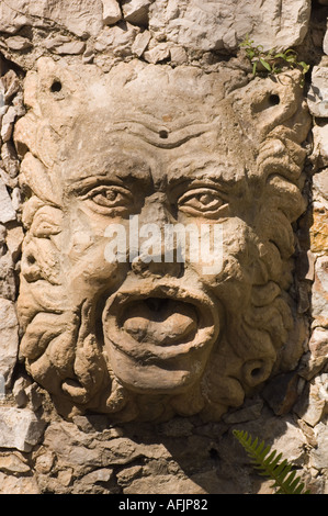 Grotesque gargoyle water spout sculpture on facade of gothic medieval ...
