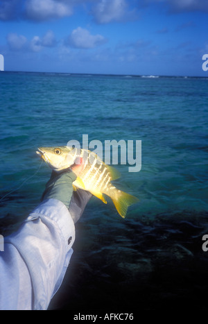 Mans hand holding saltwater fly fishing rod and reel in Key West ...