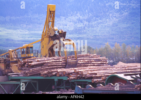 Stockpile of logs in a lumber processing center, Chetwynd, British ...