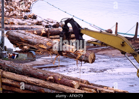 A Log Picker unloading Logs at a Log Yard at Beaver Cove on Vancouver ...