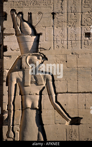 The Horus god of Egyptian history depicted by the Falcon bird was the ...