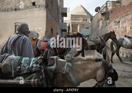 The backstreets of Giza, Cairo, Egypt Stock Photo - Alamy