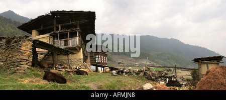 Bhutan agriculture Haa Valley Jabana barley growing on hill farm ...