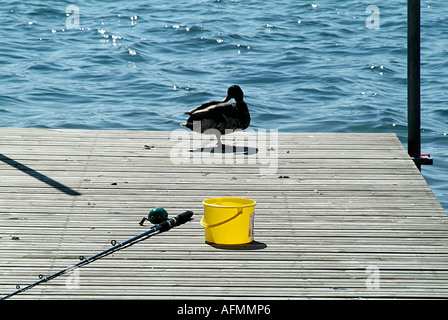 Discarded fishing line with hook and sinker washed up on the beach ...