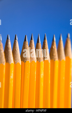 Line up of standard yellow freshly sharpened pencils Stock Photo - Alamy
