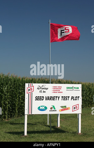 Corn demonstration plot Stock Photo - Alamy