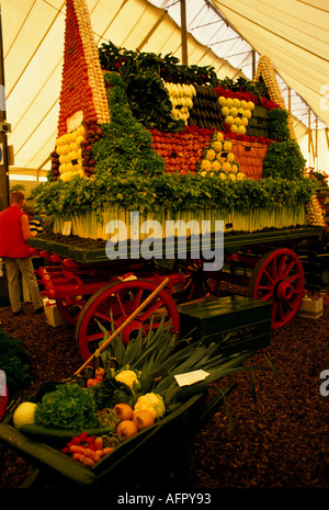 Vegetable display at Chelsea flower show Stock Photo - Alamy