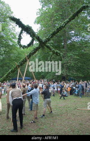 Rising of a maypole in Sweden Stock Photo - Alamy