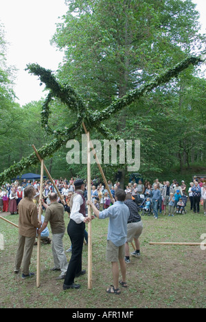 Rising of a maypole in Sweden Stock Photo - Alamy