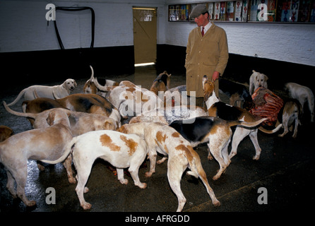 Charles Wheeler feeds the hounds after a morning exercise The Duke of ...