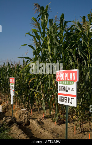 Croplan Genetics Answer Plot Stock Photo - Alamy