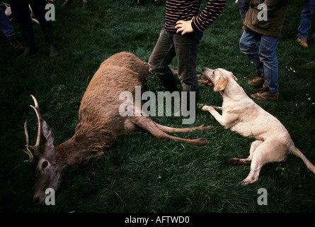 Quantock stag hunt Exmoor somerset UK Devon Somerset Staghounds Hunt ...