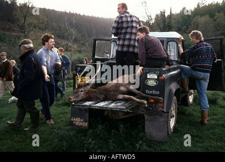 Quantock stag hunt Exmoor somerset UK Devon Somerset Staghounds Hunt ...