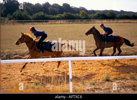 racehorses training on Newmarket Heath in Suffolk on Friday morning ...