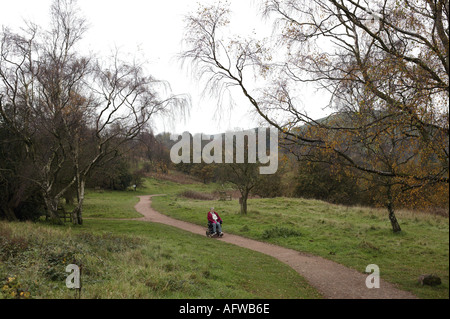 Disabled wheelchair access to the countryside - a path through the ...