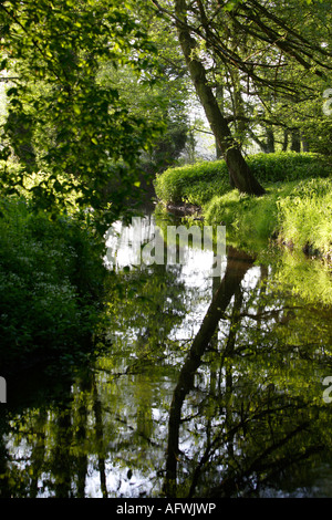 River Tas Tasburgh Norfolk Countryside UK Stock Photo - Alamy