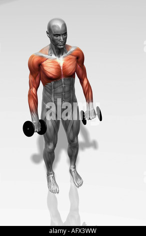 Empty cans exercise (Part 1 of 2 Stock Photo - Alamy