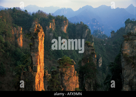 Sandstone pillars in Wulingyuan Scenic and Historic Interest Area in ...