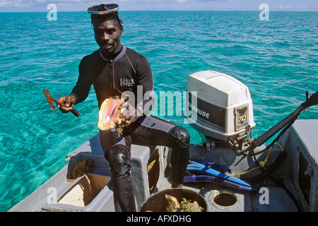Bahamian diver with freshly caught conch in a fishing boat off the ...