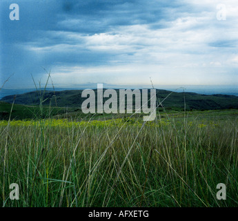 Suikerbosrand Nature reserve, South Africa, August 2015 Stock Photo - Alamy
