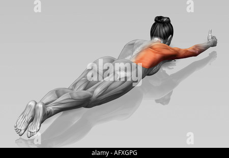 Arm-leg extensions (Part 1 of 2 Stock Photo - Alamy
