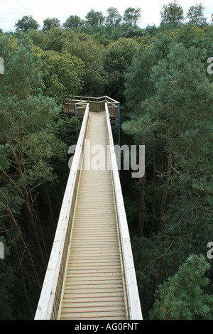 Tree Top Way, Salcey Forest, Northamptonshire, England, UK Stock Photo ...