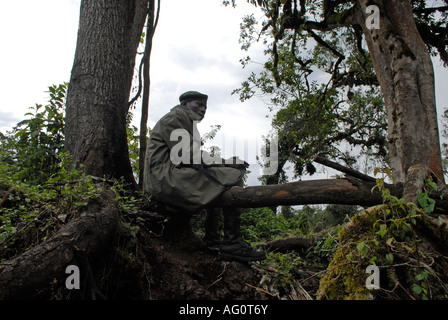 A FARDC Congolese government soldier sits on a tree branch in a rural ...