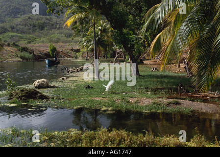 Jamaica the south coast landscapes at Gut River Stock Photo - Alamy