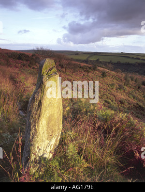 Standing Stone West Anstey Common Exmoor UK Stock Photo - Alamy