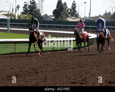 Horse races are popular at many fairs in the US This race was at the ...
