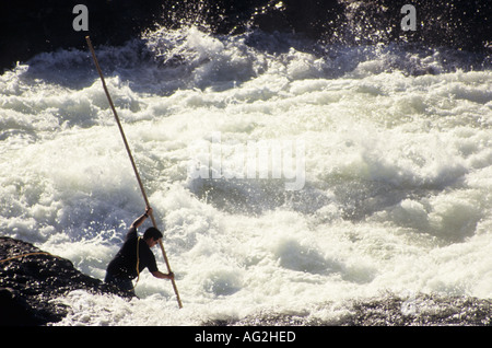 A Native Indian Fisherman fishing for Salmon with a Gaff in the Bulkley ...