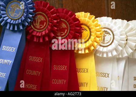 State Fair Prize Ribbons Stock Photo: 112255049 - Alamy