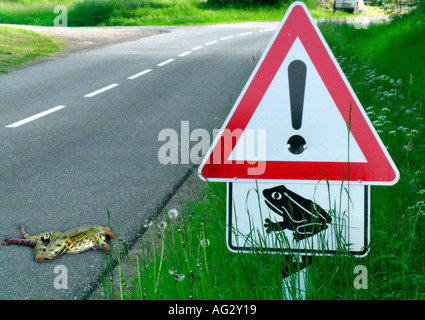 Toad Crossing Road Warning Sign, UK Stock Photo: 57304562 - Alamy