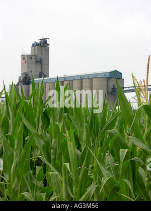 Variety of different corn growth test fields with grain elevator near ...