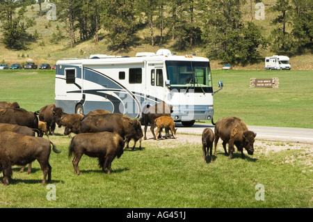 North Dakota State Bison Peter Brookshaw (2) and Brock Anderson (11 ...