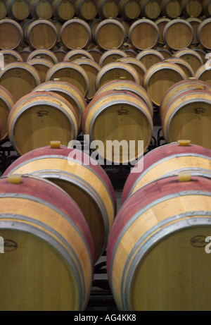 The barrel room of Ysios's state-of-the-art vinification plant Stock ...