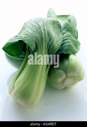 Two bok choy (Pak choi) leaves top view isolated on white background ...