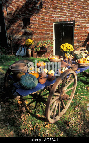 Pumpkins outside in front of old truck in the fall Stock Photo - Alamy