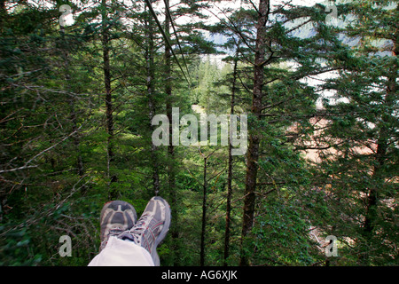 Zip line tour Juneau Alaska Stock Photo - Alamy