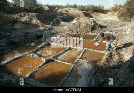 Niger Fachi People in desert. Nobles on their way to a funeral in oasis ...