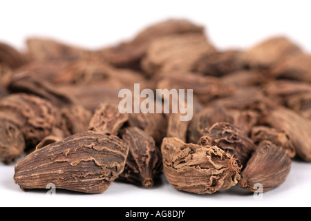cardamon, bengal cardamoms (Amomum subulatum), capsules Stock Photo - Alamy
